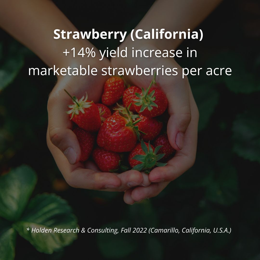 Karrikaid Vegetable Booster 32 fl oz